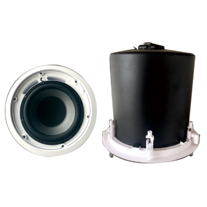 10" Ceiling Subwoofer - Lucky Tone