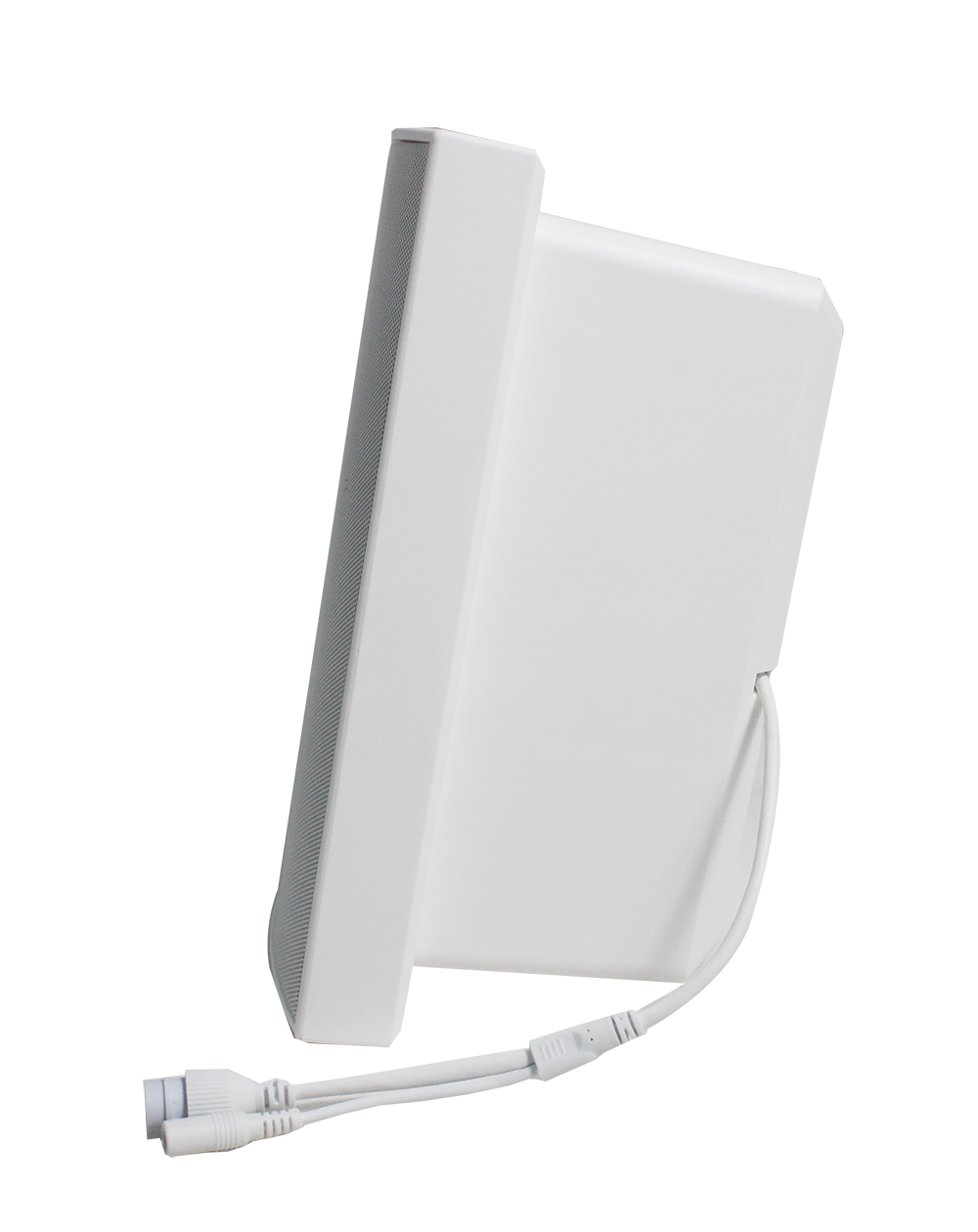 Dante Wall Mounted Speaker - Lucky Tone