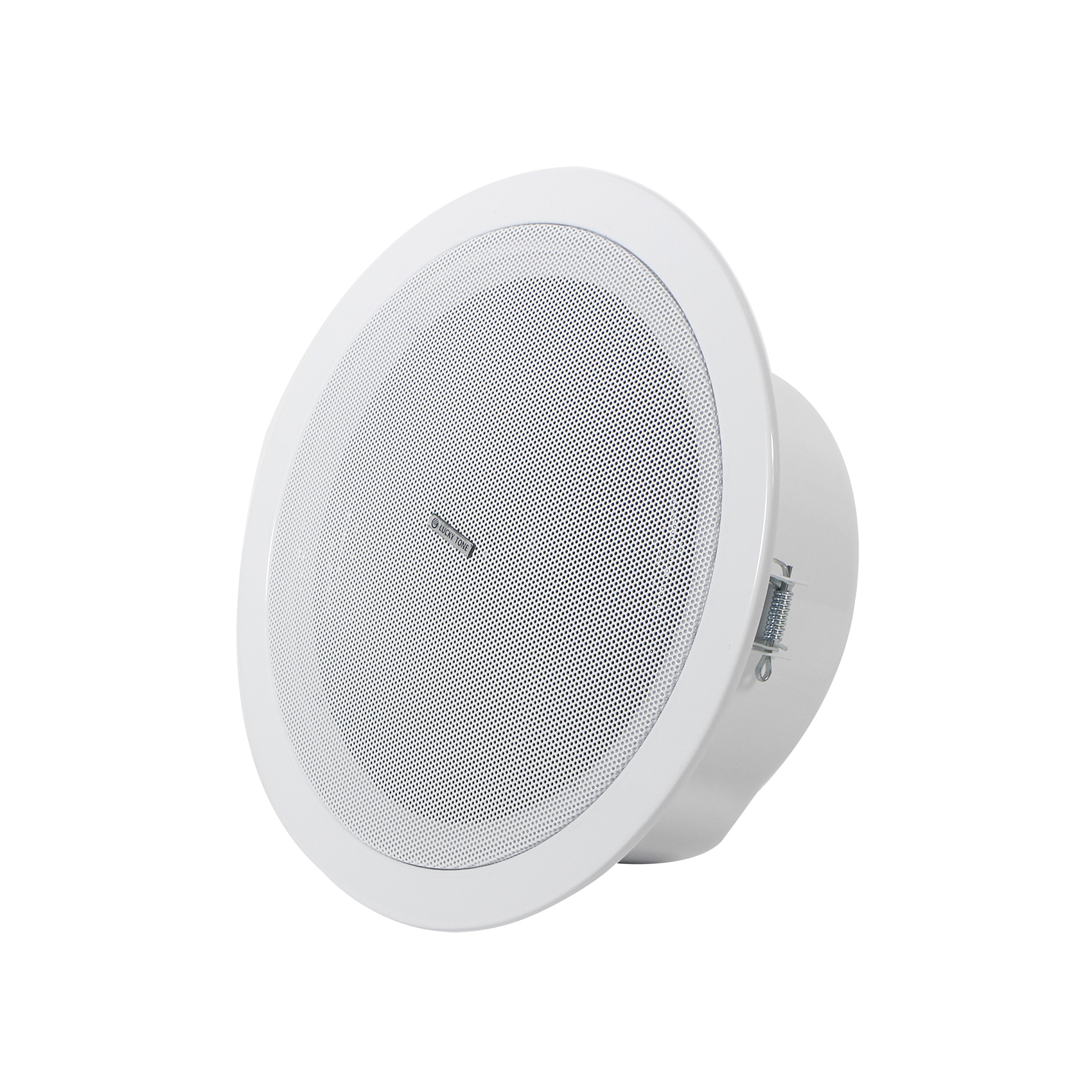 High SPL IP Network Ceiling Speaker - Lucky Tone