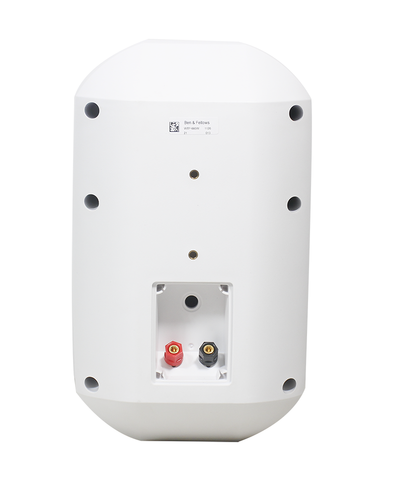 WTP Outdoor Wall Mount Speaker - Lucky Tone