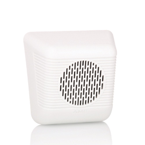 Wall Mounted Speaker - Lucky Tone