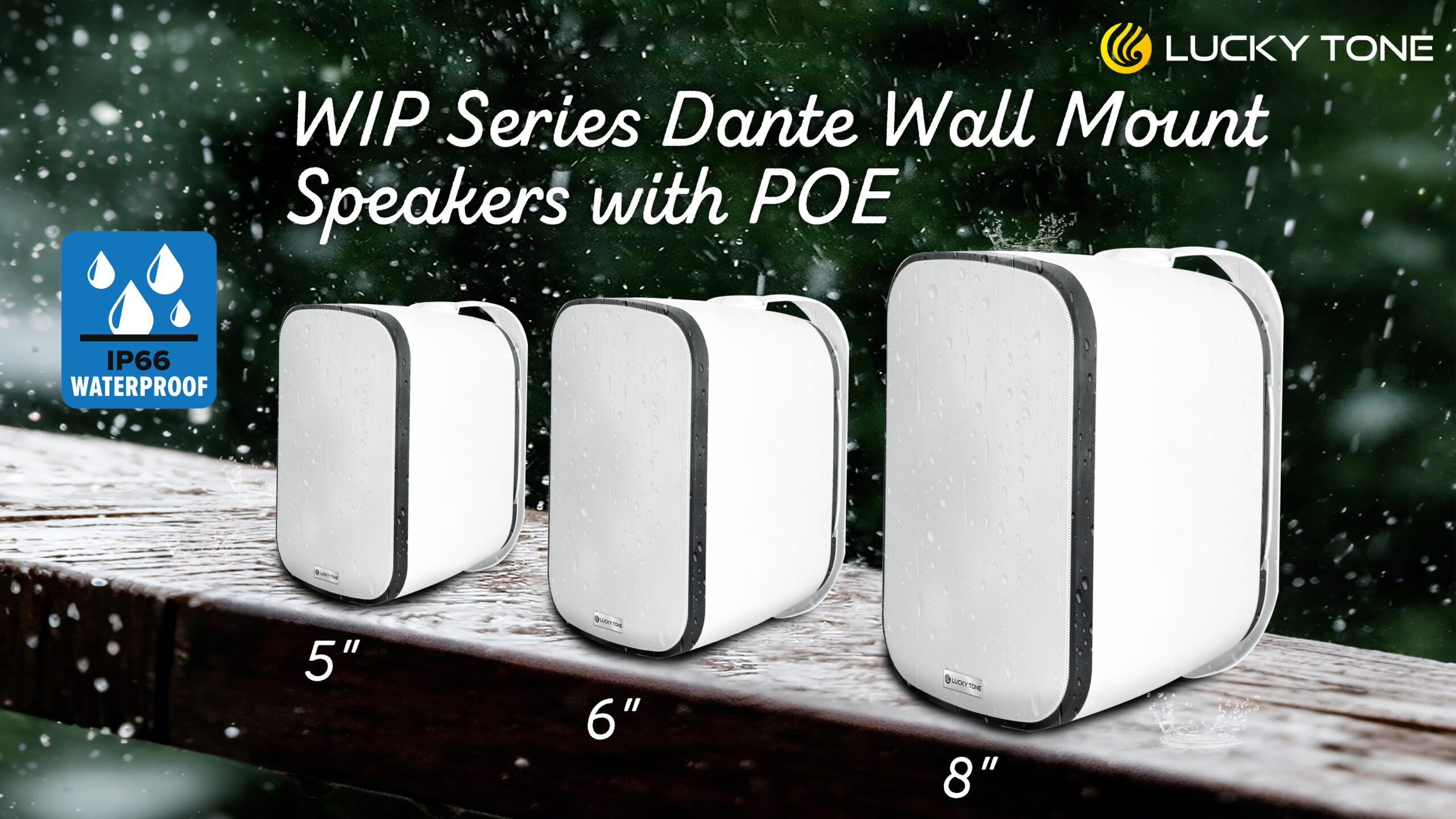 WIP Dante Wall Mounted Speaker with POE - Lucky Tone